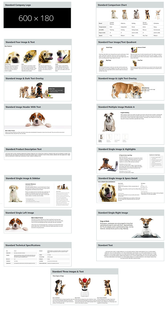 Guide on the A+ modules, both Brand Story and A+ content