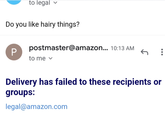 Amazon Legal Team Email